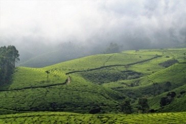 Kerala Tour Package Prices: A Detailed Cost Breakdown for 2025 ...
